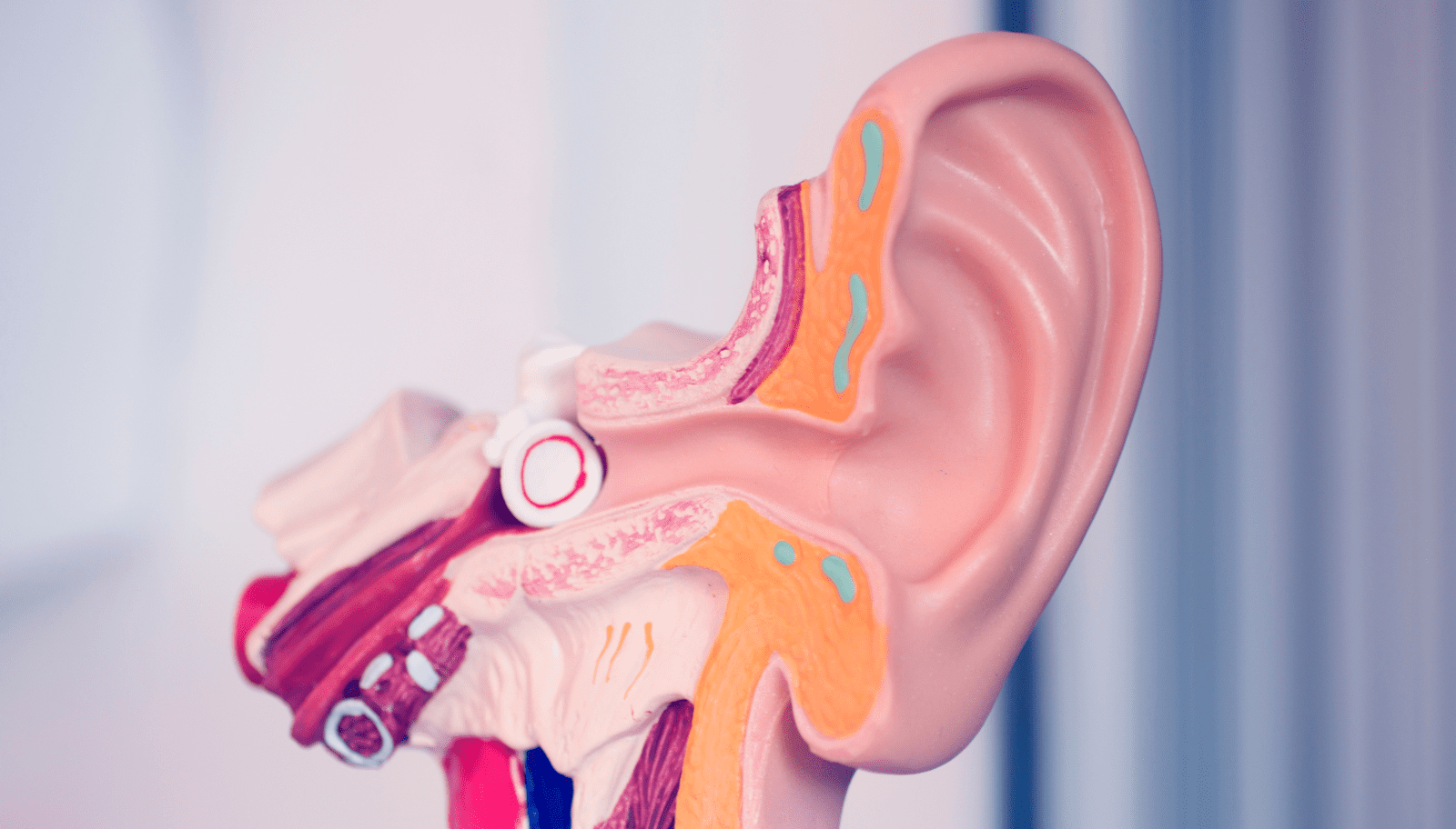 Hearing Loss | Puretone Hearing Aid Center